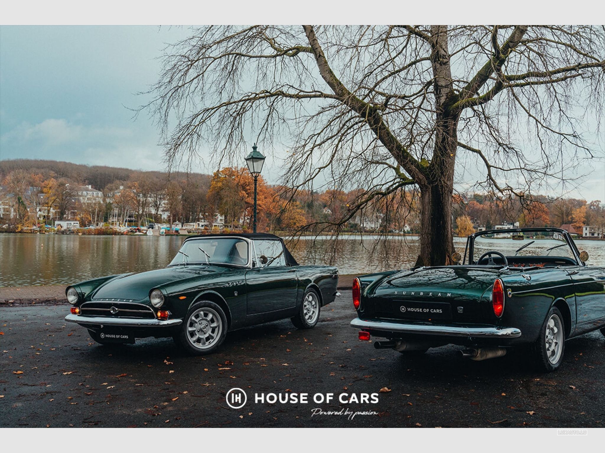 Sunbeam Alpine TIGER MK1 CONVERTIBLE 4.3L V8 Vert d'occasion, moteur ...