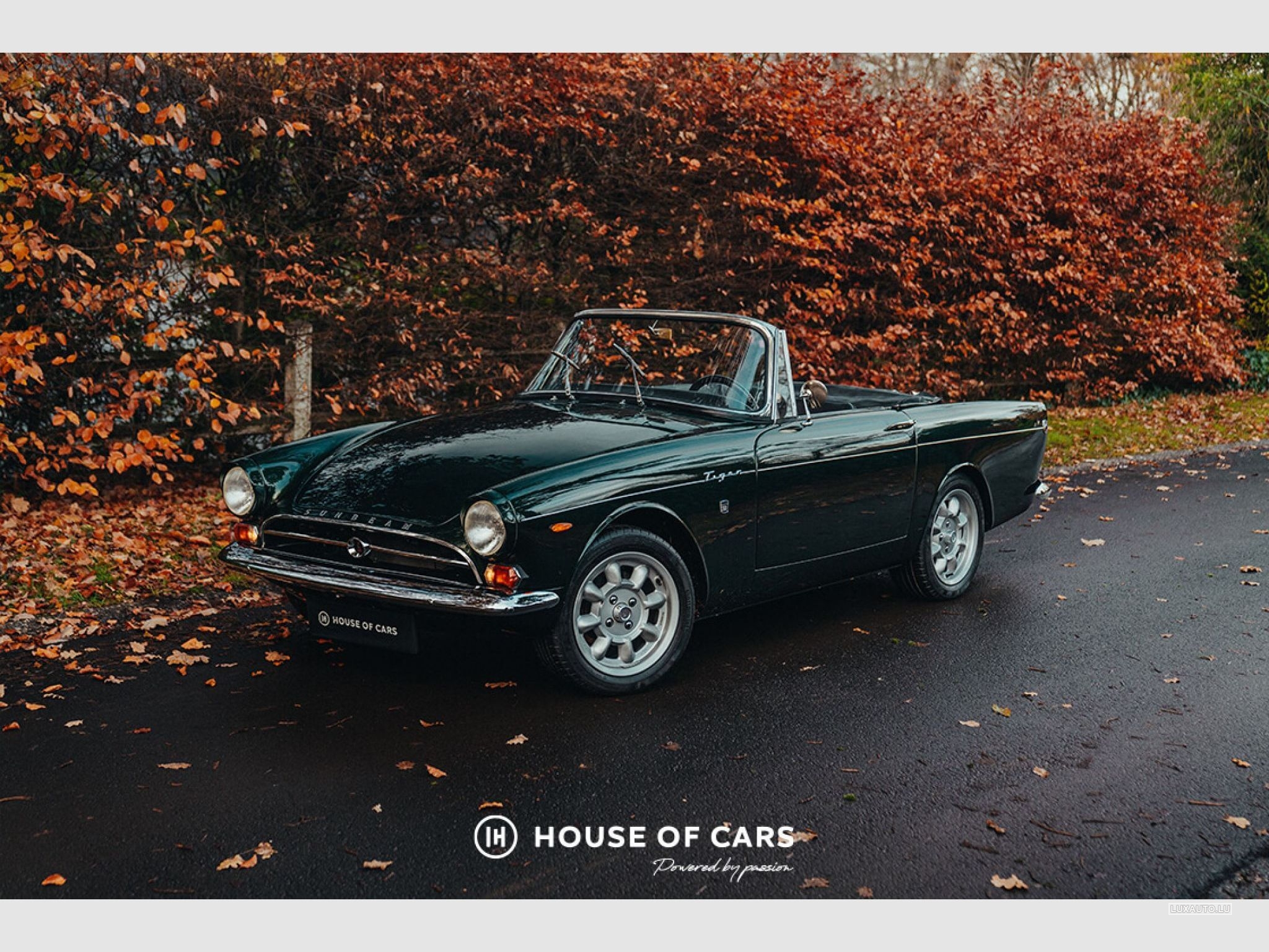 Sunbeam Alpine TIGER MK1 CONVERTIBLE 4.3L V8 Vert d'occasion, moteur ...