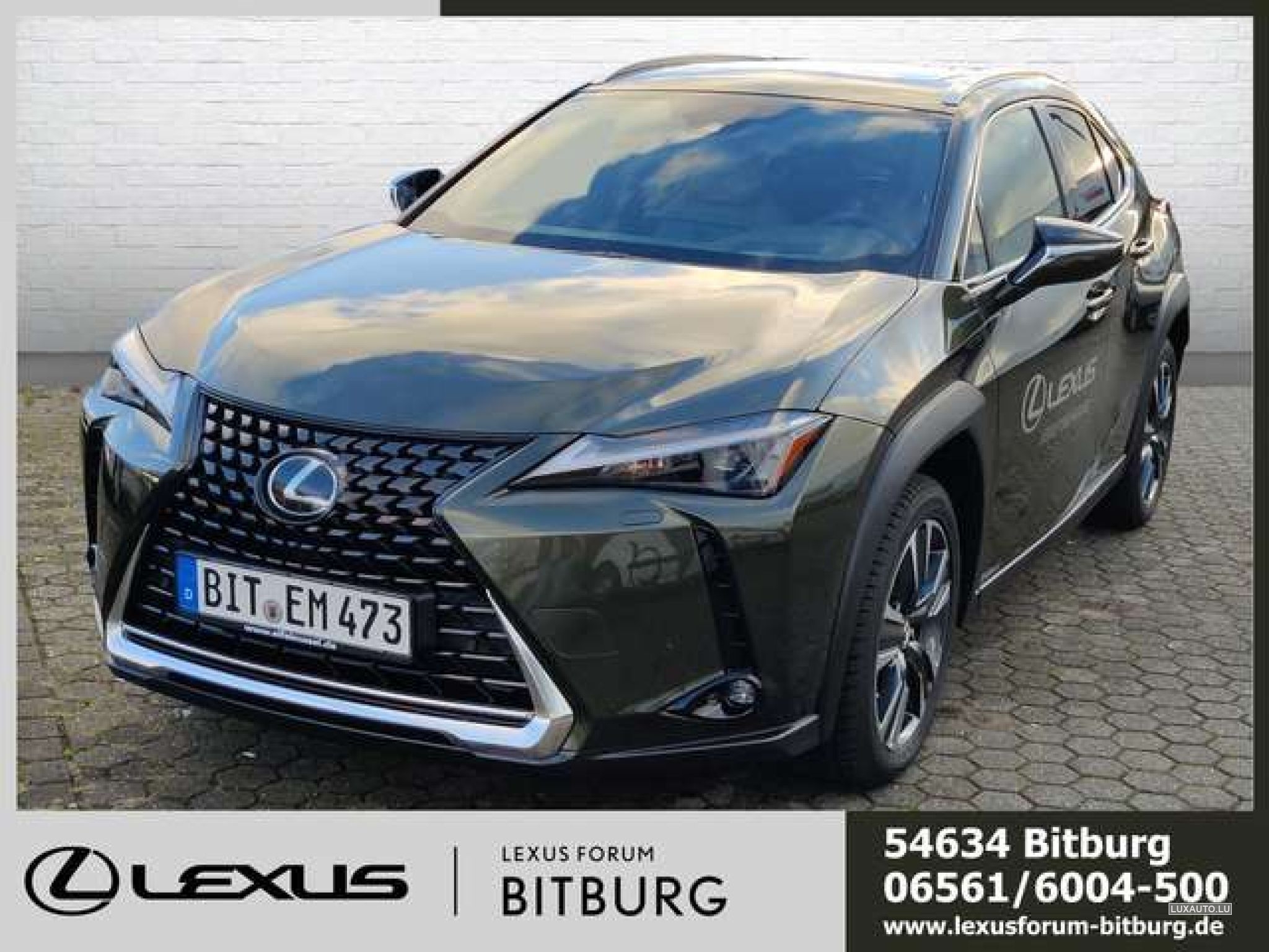 Lexus UX Executive Sd Premium Paket Facelift Hud Vert d'occasion ...
