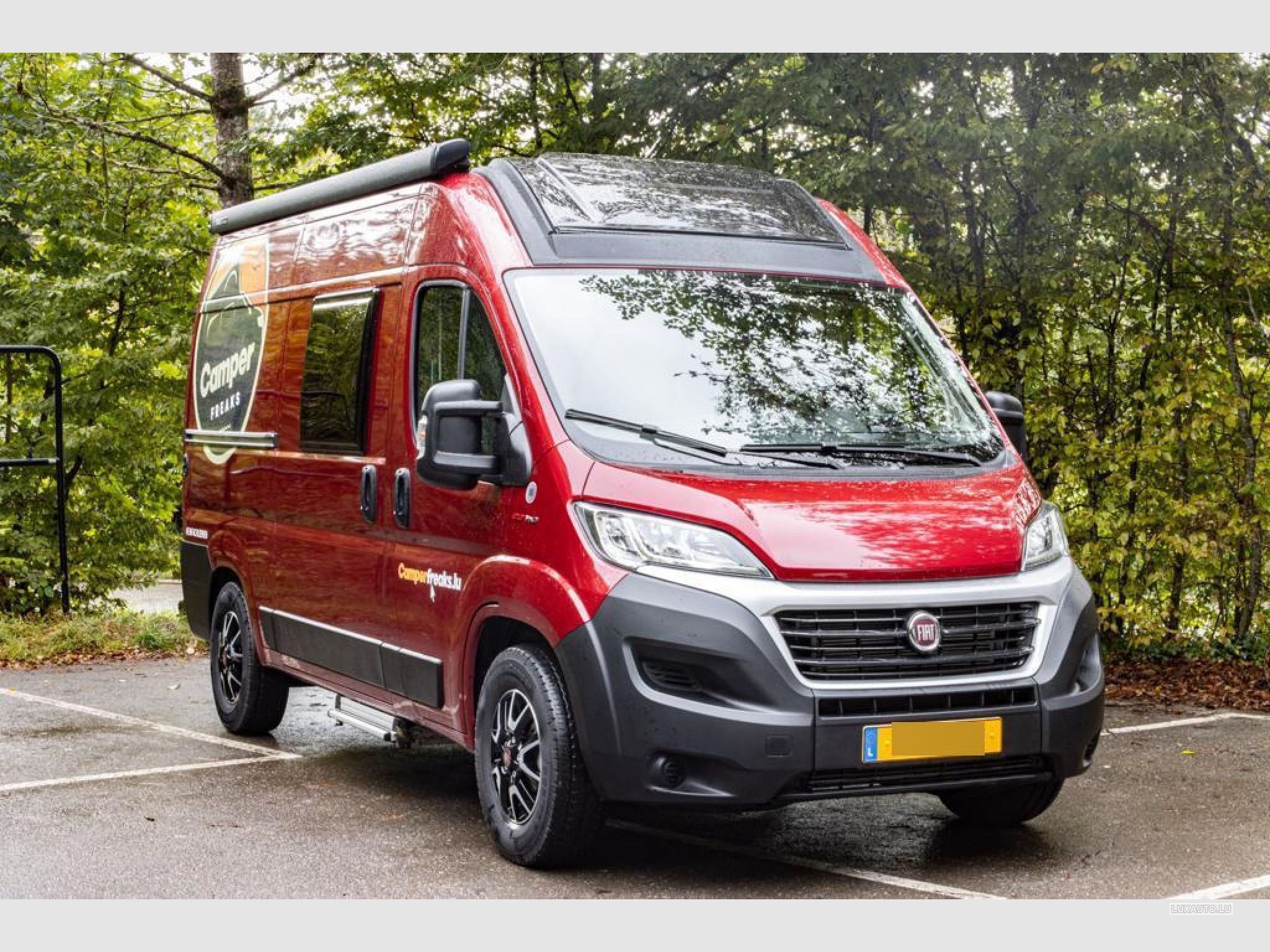 Weinsberg CaraBus R47 CaraTour 540 Edition Rouge d'occasion, moteur ...