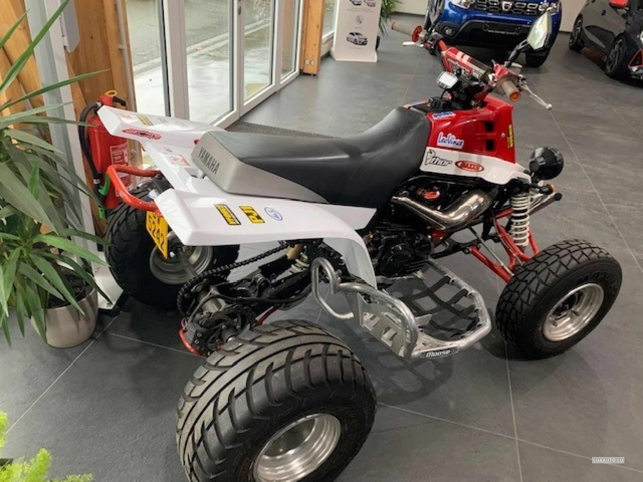 Yamaha Banshee Banshee 350 2Takt Motor , moteur Essence et boite ...