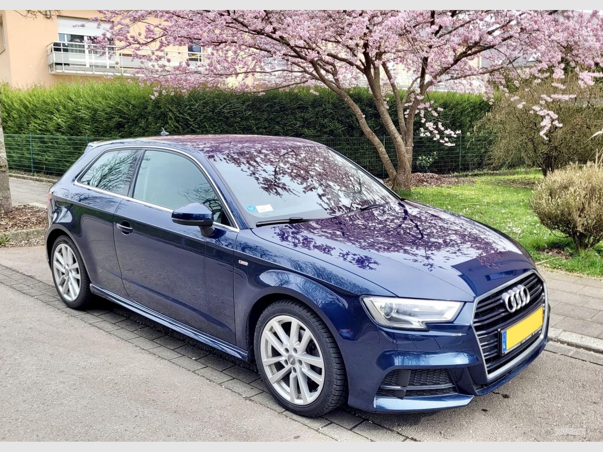 Audi A3 S-line TDI Edition Bleu foncé d'occasion, moteur Diesel et ...