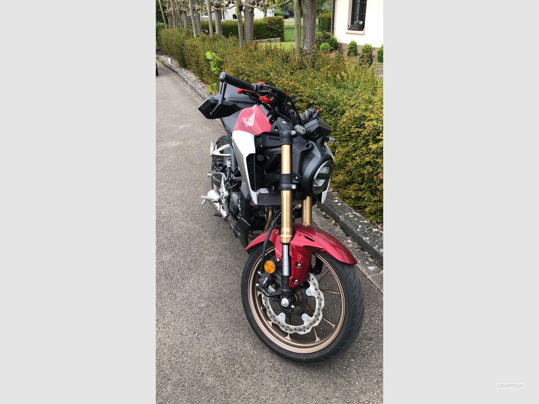 Honda CB 125 R Rouge, moteur Essence et boite Manuelle, 1.250 Km - 4. ...